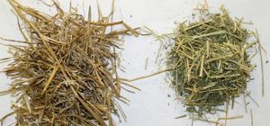 Hay and Straw – Wagon Wheel Farm